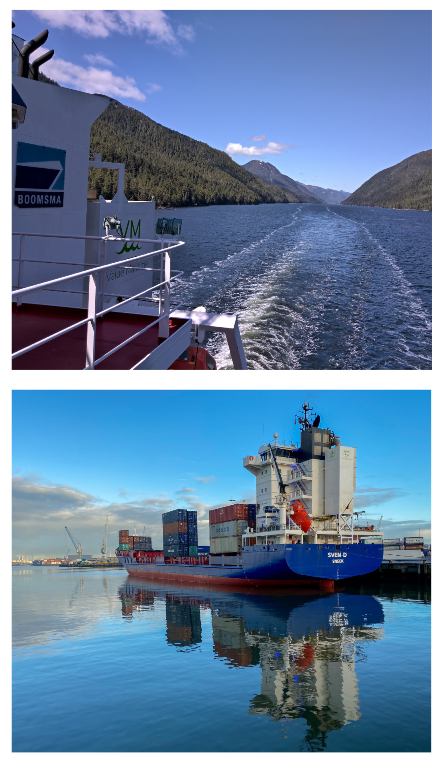 Value Maritime | Filtering with a Green and Financial dividend!